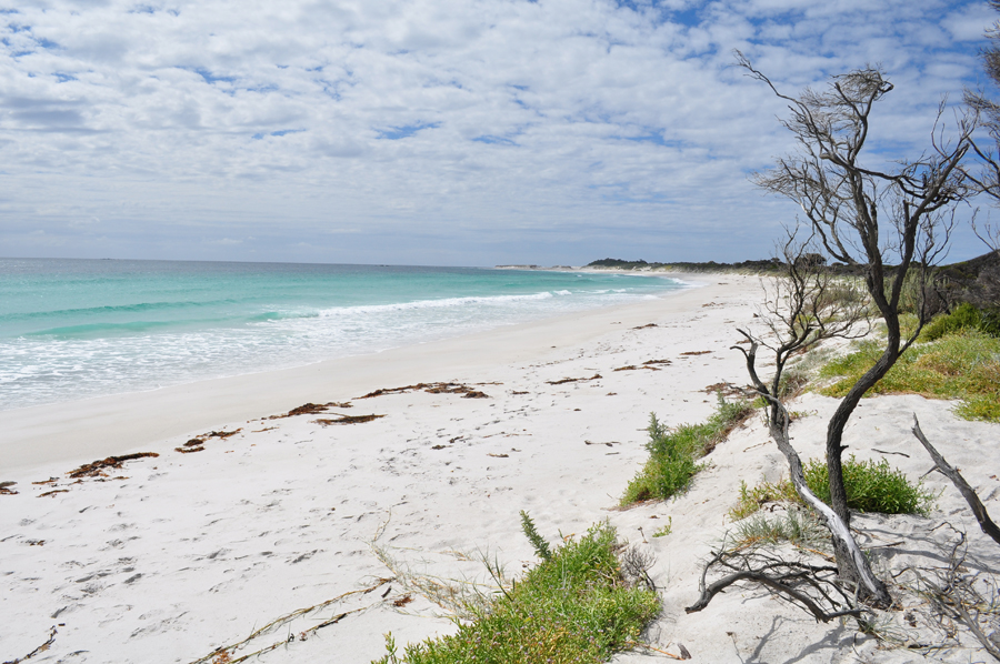 tassie tourist information guide | Tasmania Tourist Information Guide